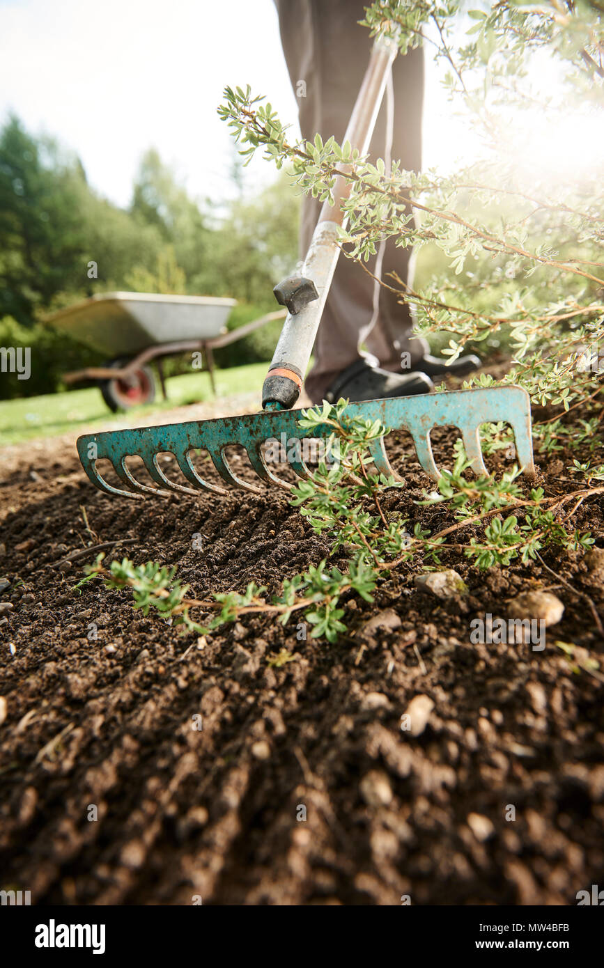 Gardening and raking in the garden in the spring Stock Photo - Alamy