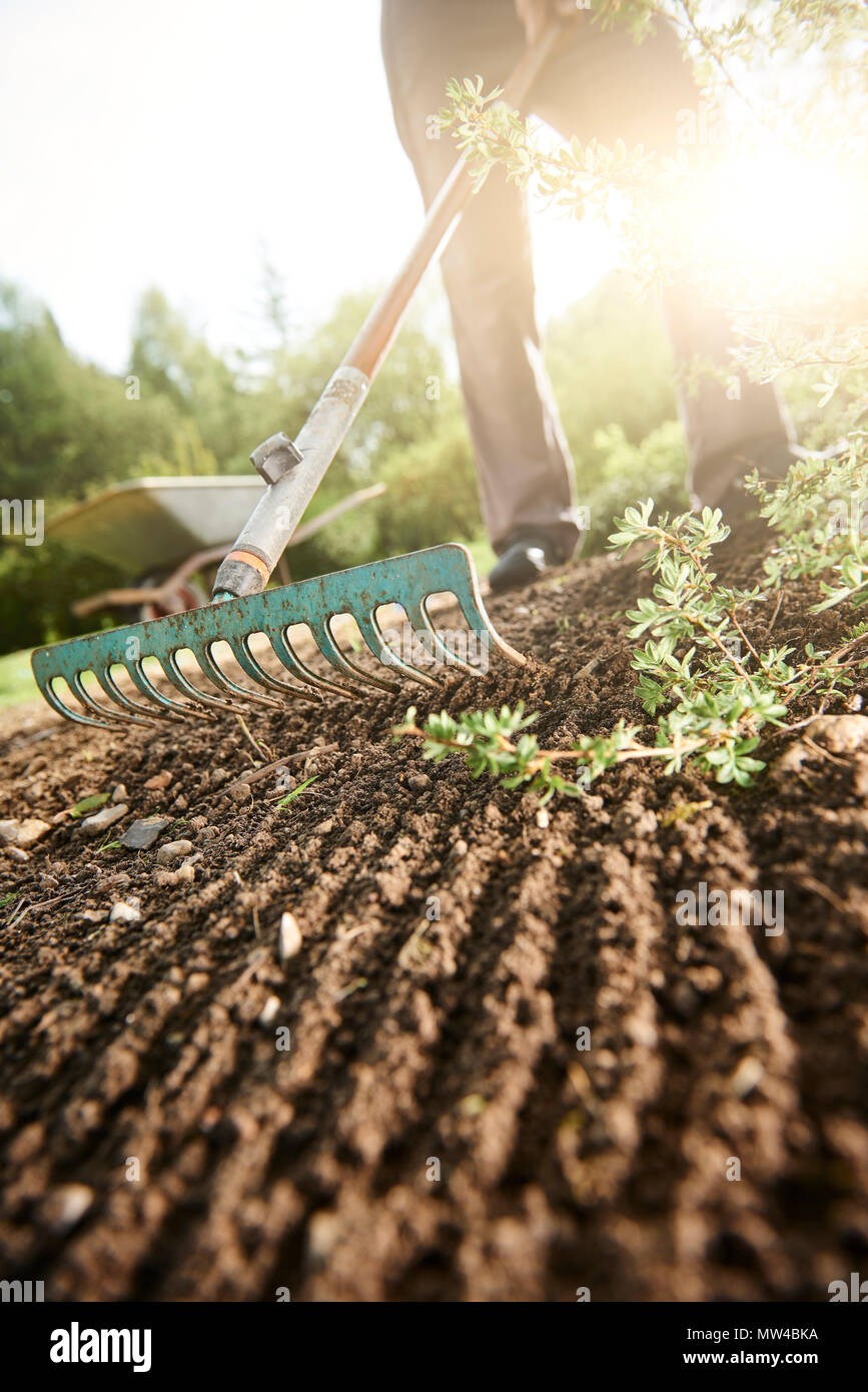 Gardening and raking in the garden in the spring Stock Photo - Alamy