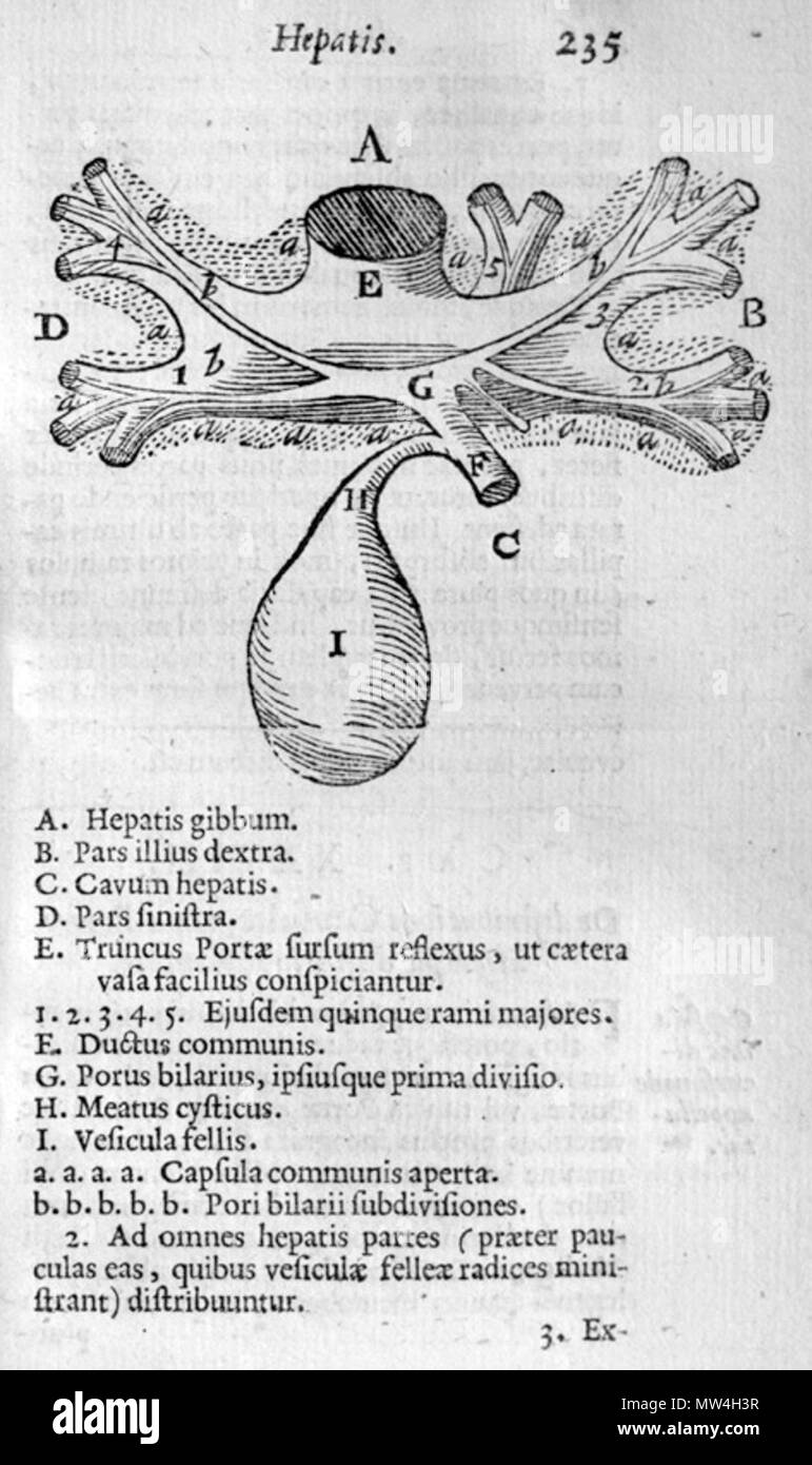 . Francis Glisson (1597-1677): Anatomia hepatica, 1665. January 2008 ...