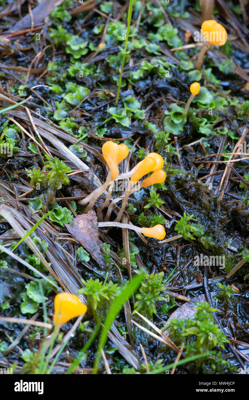 Bog beacon hi-res stock photography and images - Alamy