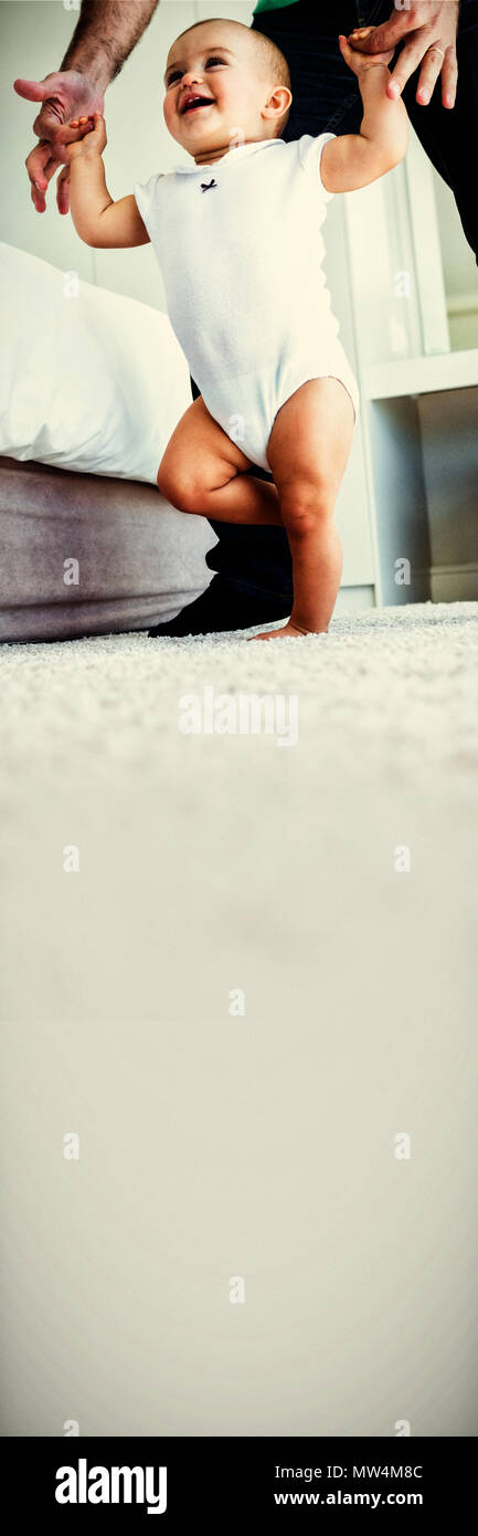 Father teaching baby to walk in bedroom Stock Photo - Alamy