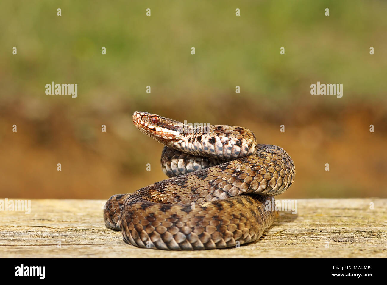 Full adder background hi-res stock photography and images - Alamy