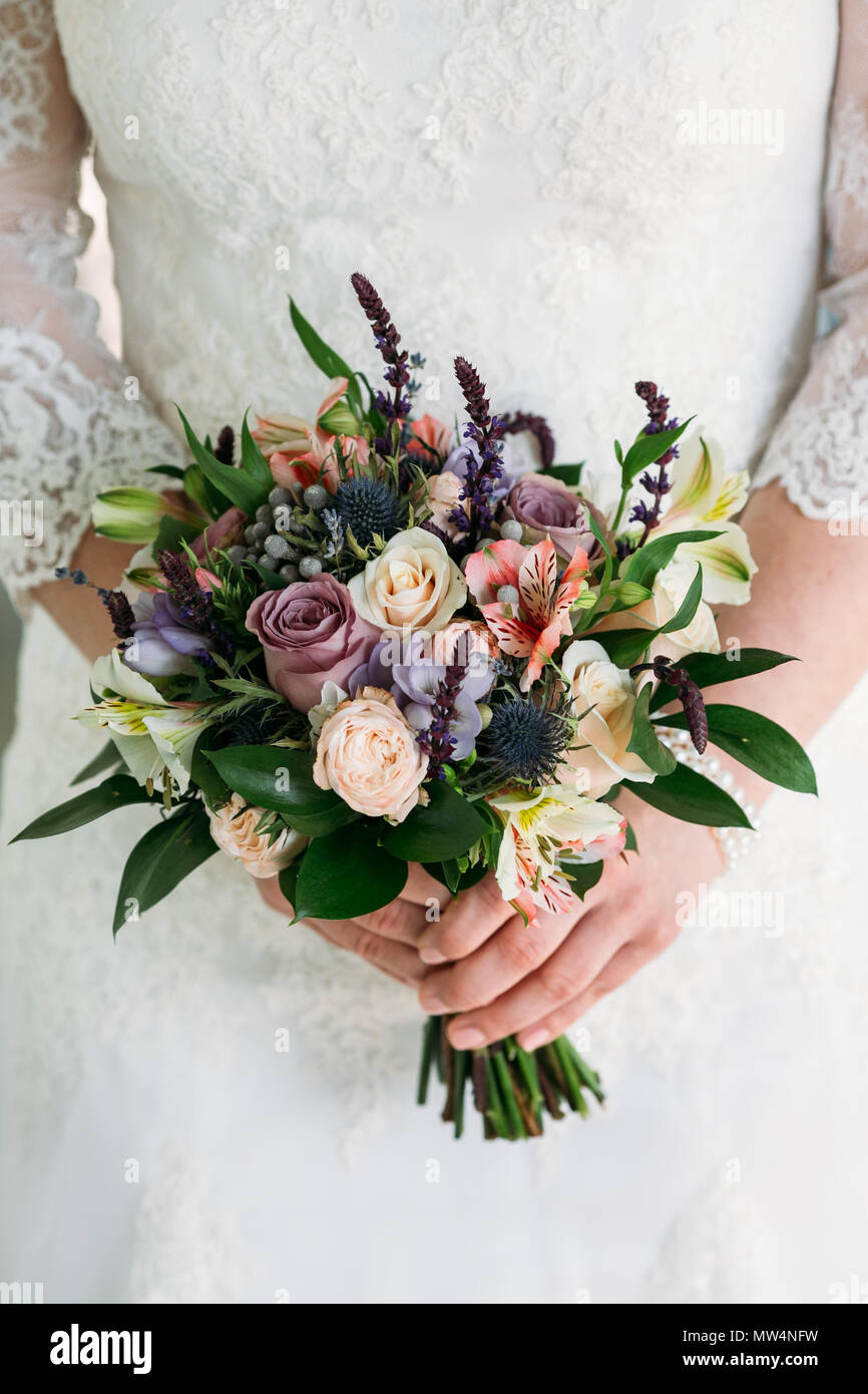 Freesia roses hi-res stock photography and images - Alamy