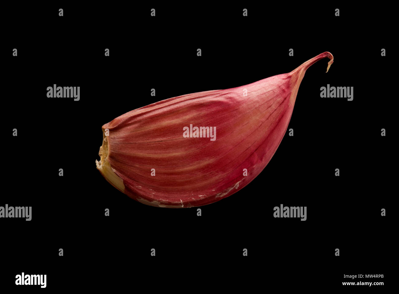 Single clove garlic hi-res stock photography and images - Alamy