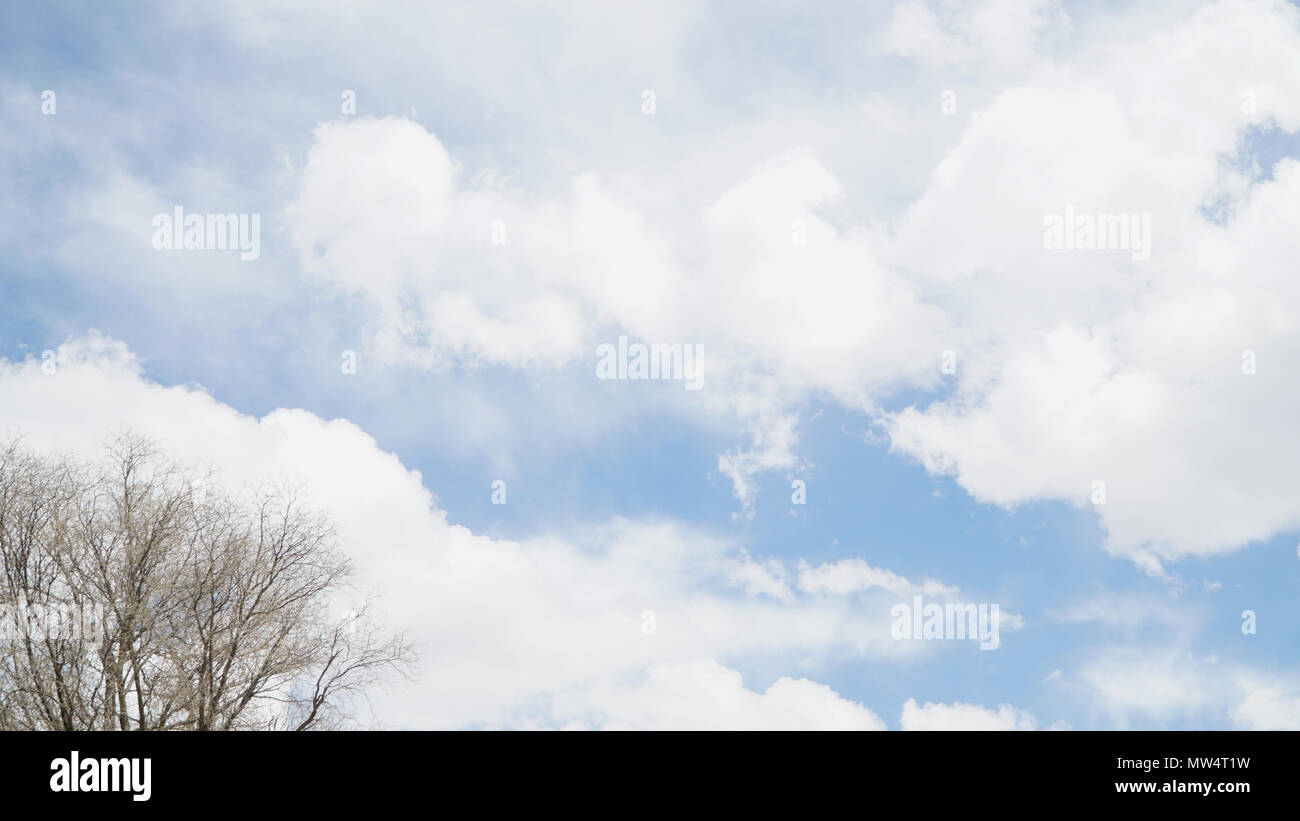 Tree branches and clear sky with some cloud Stock Photo - Alamy