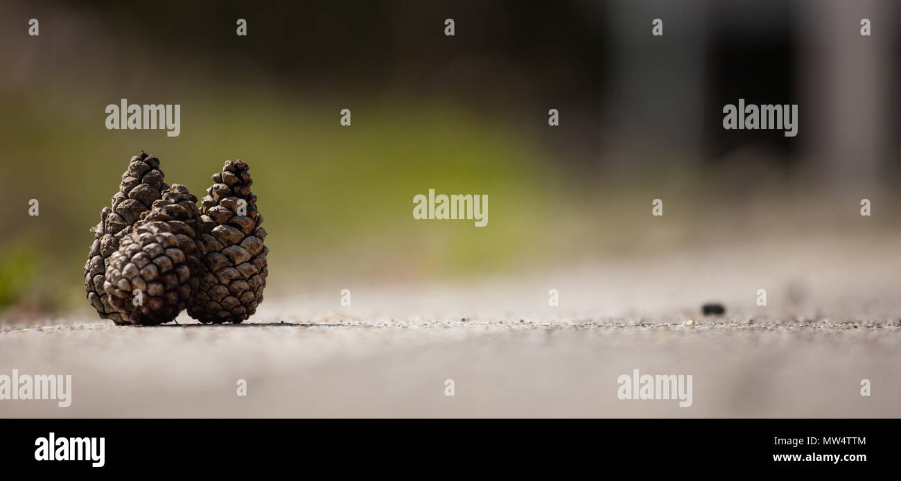 Three cones hi-res stock photography and images - Alamy