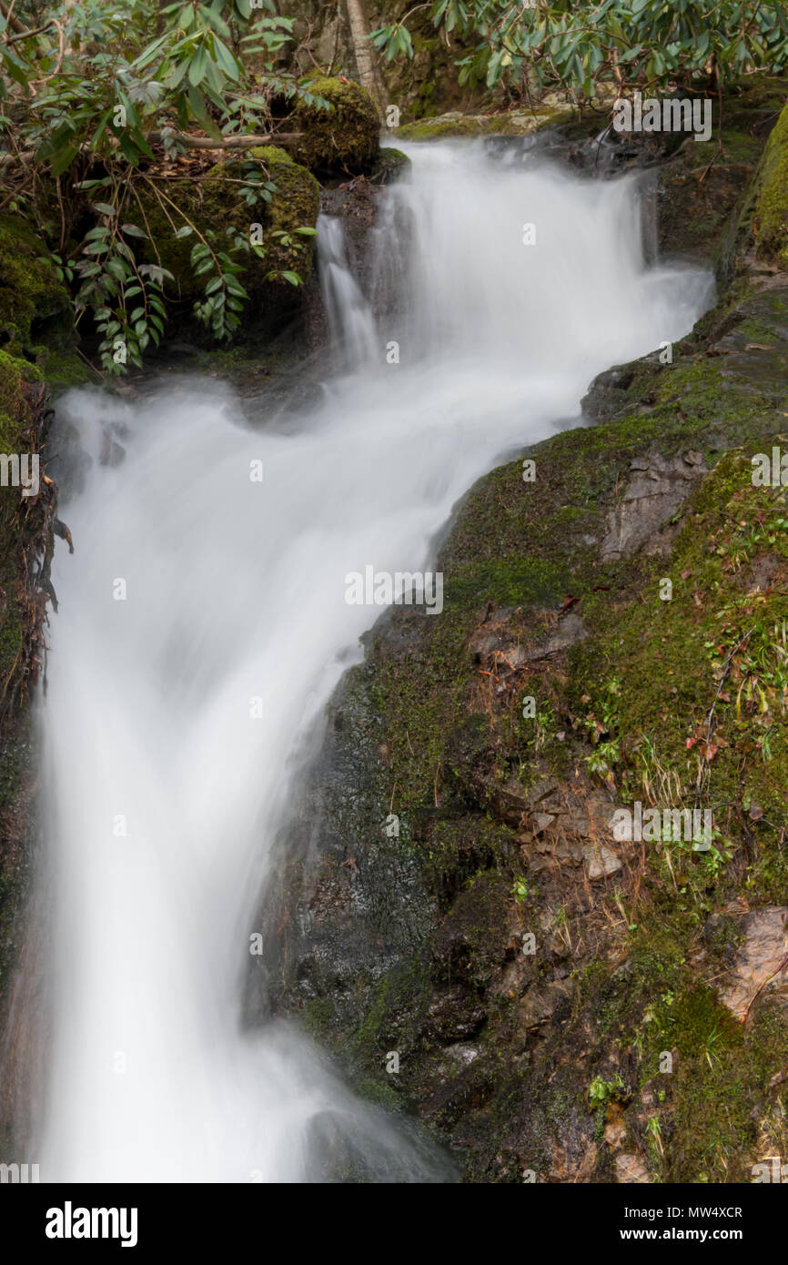 Husky branch falls hi-res stock photography and images - Alamy