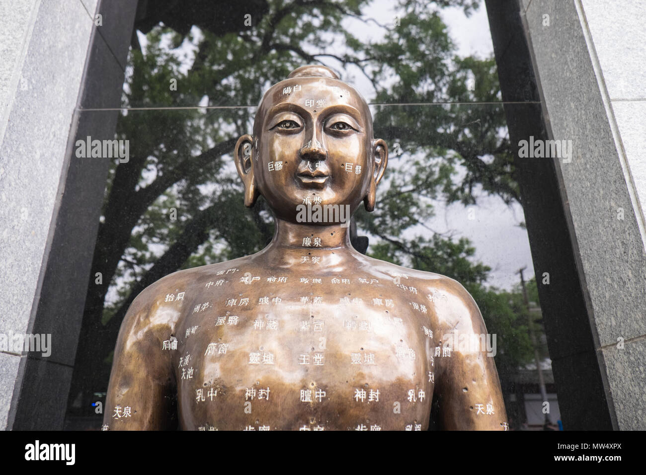 Statue,acupuncture,accupuncture,meridian,points,traditional,medicine ...