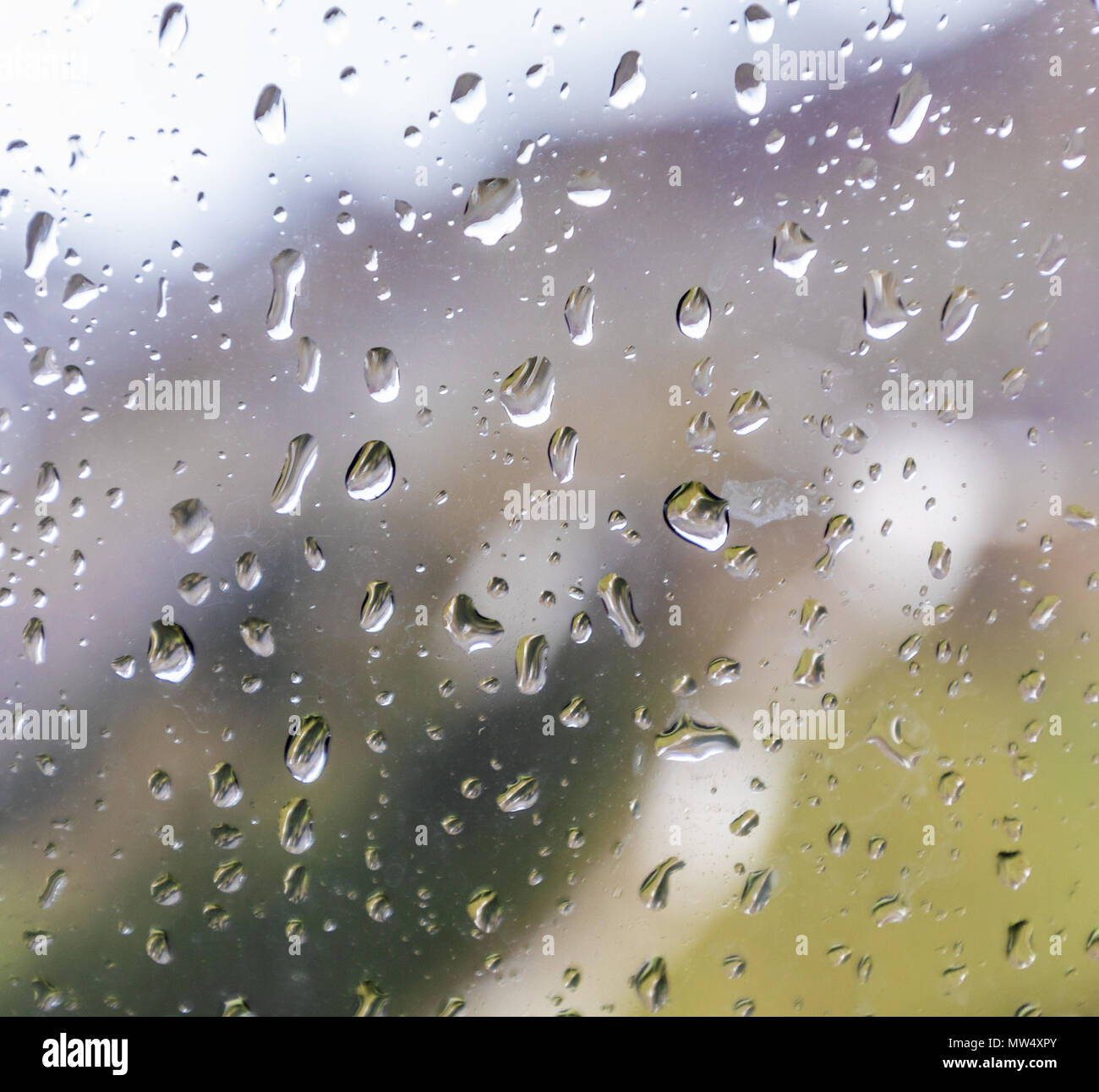 Wet glass background. Rain on the glass. Water drops Stock Photo - Alamy