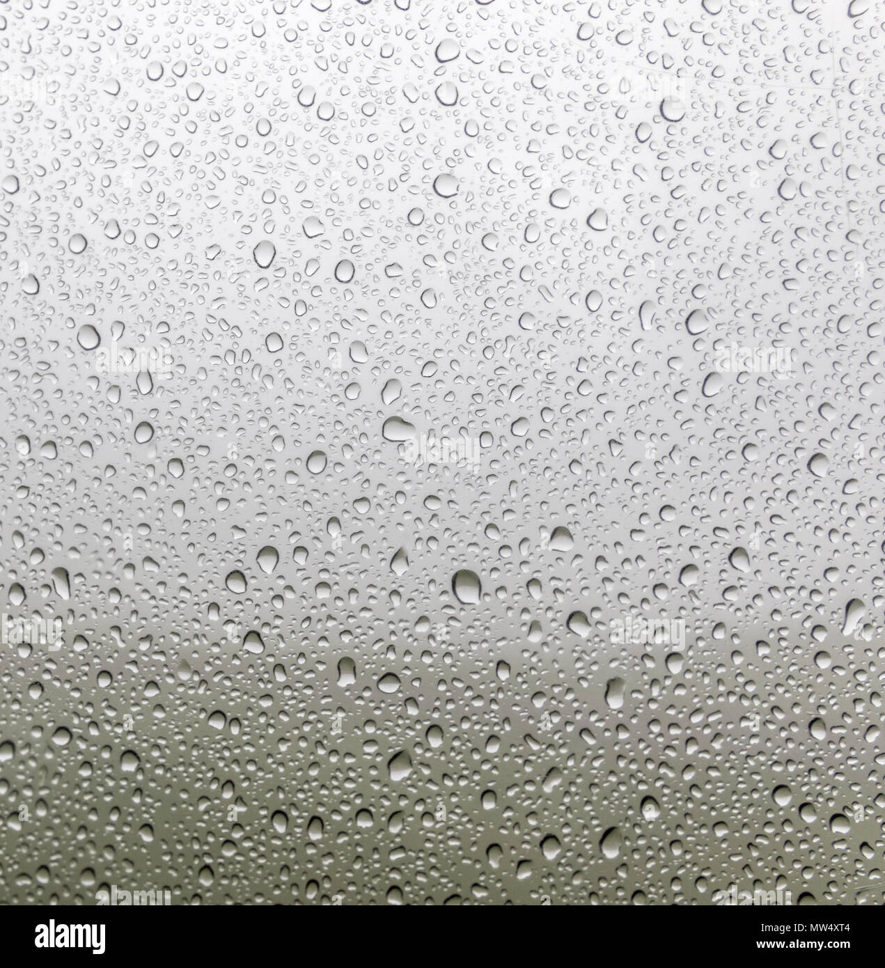 Wet glass background. Rain on the glass. Water drops Stock Photo - Alamy