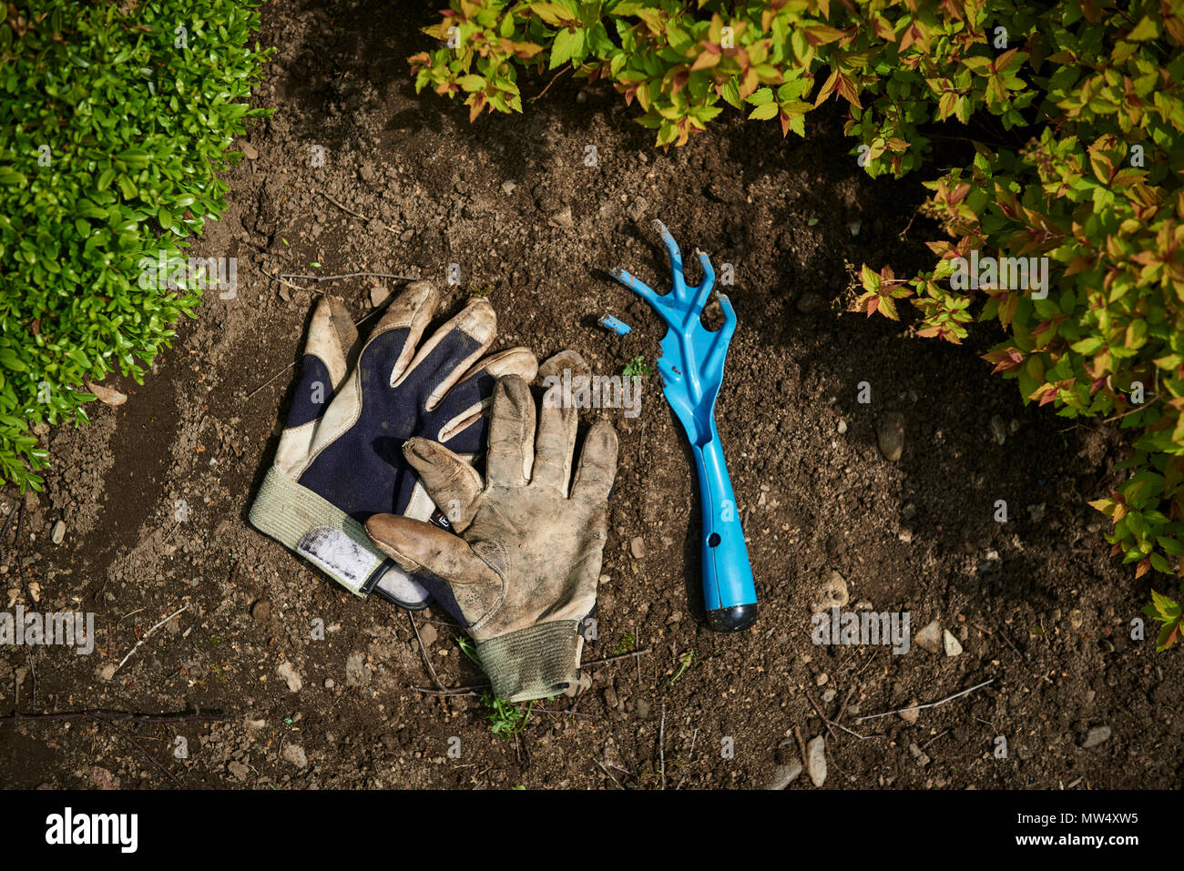 Gardening with gloves and rake Stock Photo - Alamy