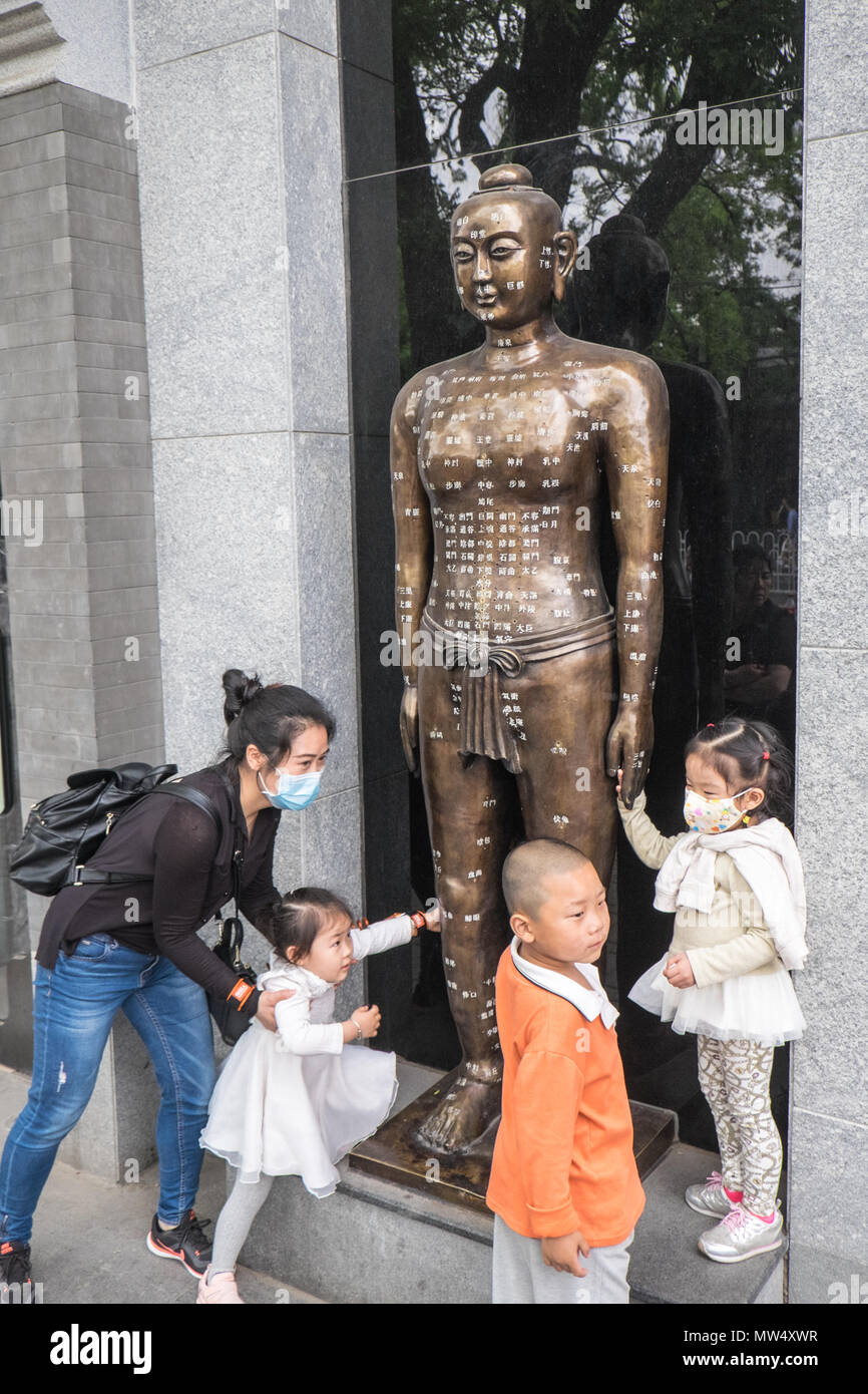 Statue,acupuncture,accupuncture,meridian,points,traditional,medicine ...