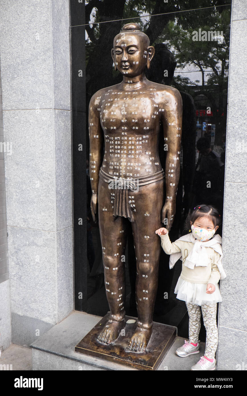 Statue,acupuncture,accupuncture,meridian,points,traditional,medicine ...