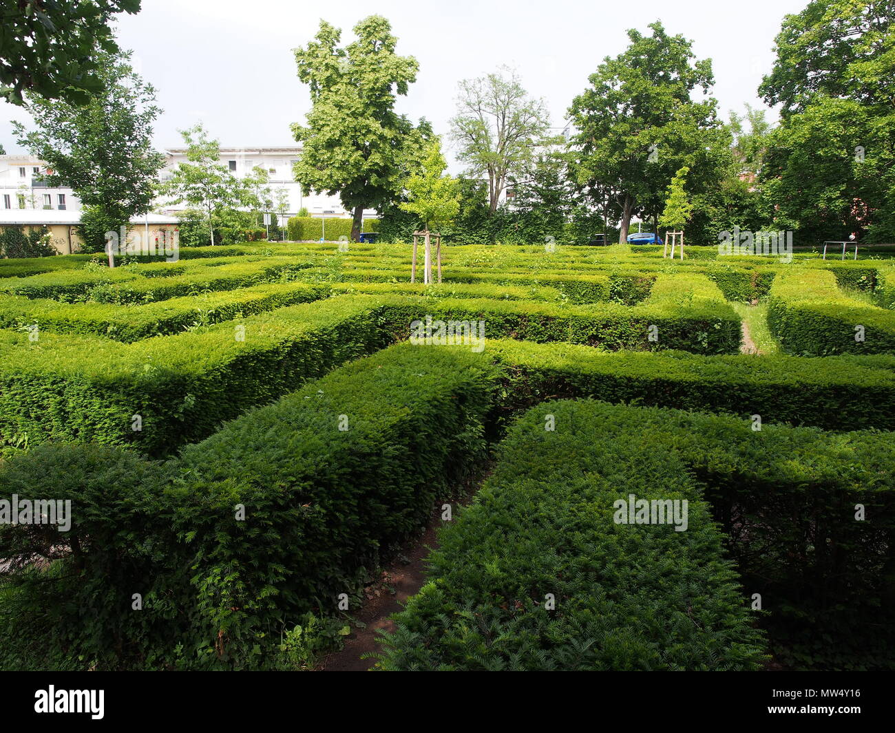 Hedge maze labyrinth germany hi-res stock photography and images - Alamy