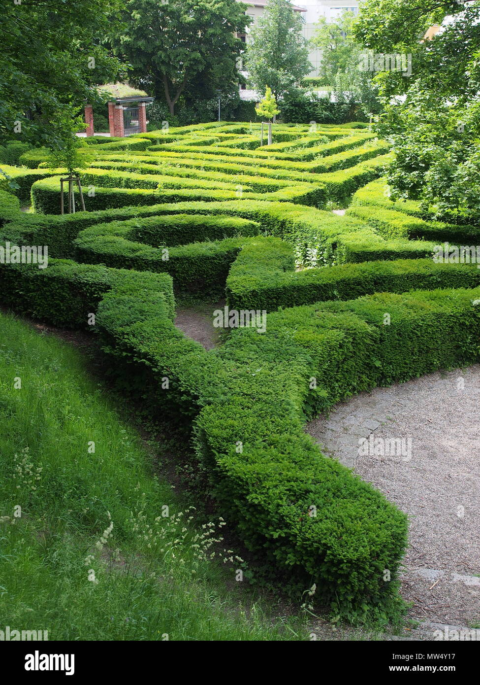 Hedge maze labyrinth germany hi-res stock photography and images - Alamy