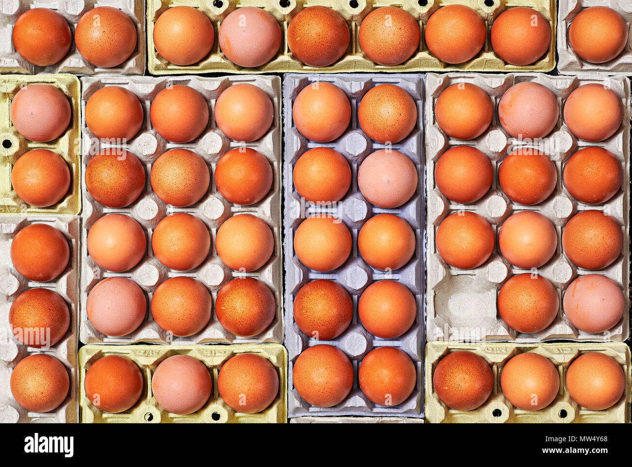 Empty carton of eggs hi-res stock photography and images - Alamy