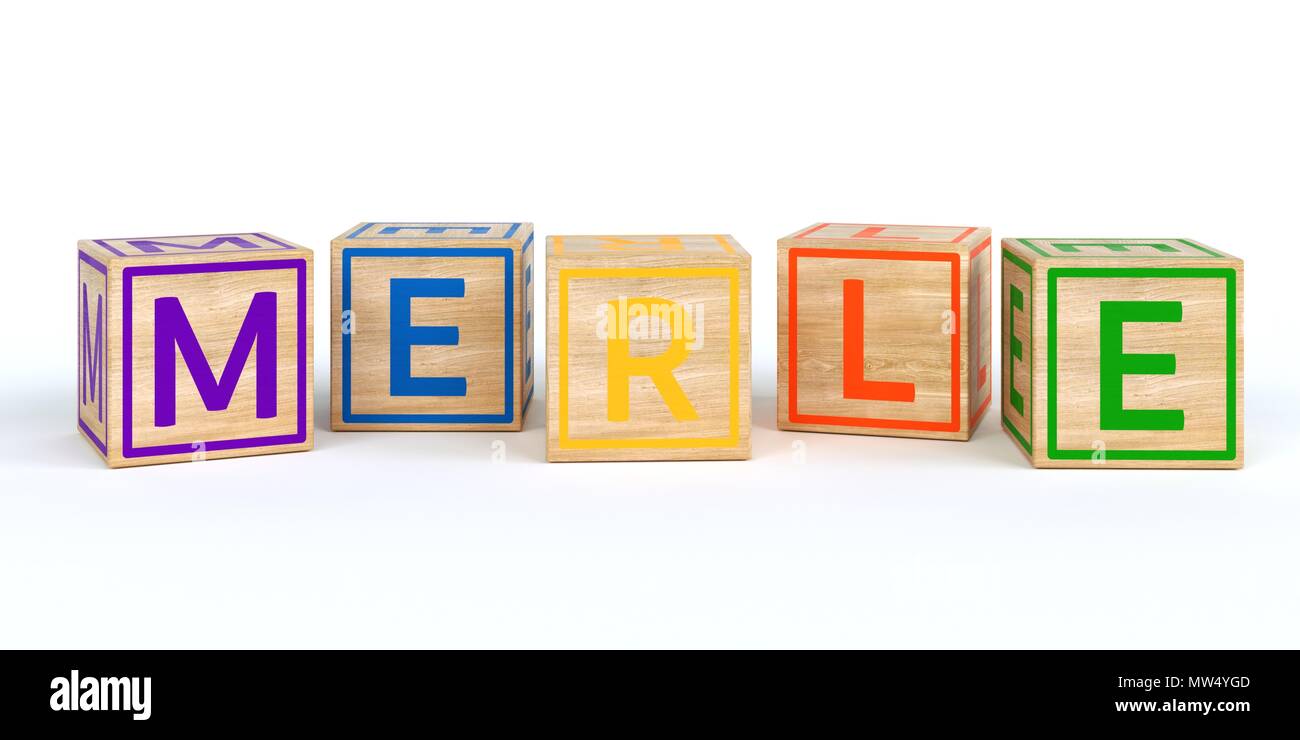 The name merle written with Isolated wooden toy cubes Stock Photo - Alamy
