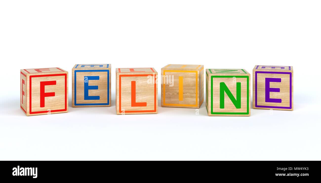 The name feline written with Isolated wooden toy cubes Stock Photo - Alamy