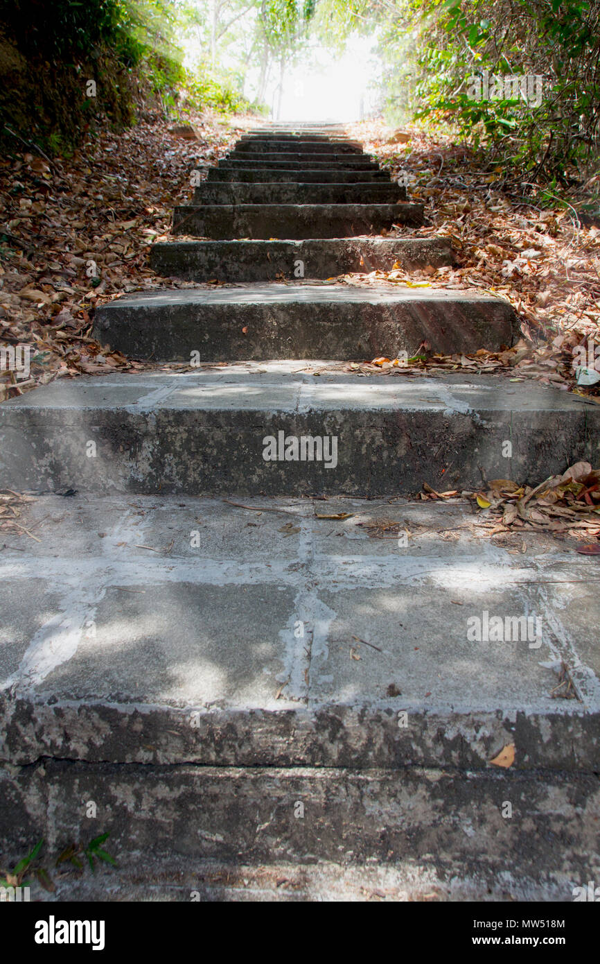 Old stone stairway to jungle Stock Photo - Alamy