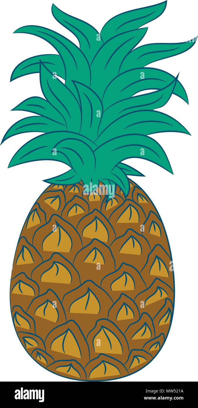 ananas isolated vector illustration Stock Vector Image & Art - Alamy