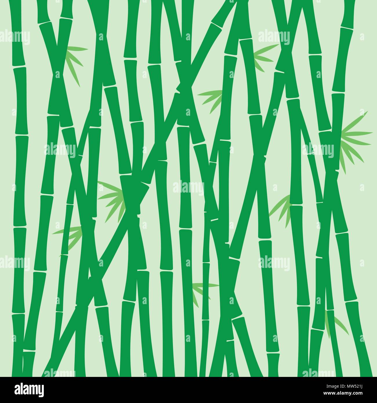 bamboo texture or background vector illustration Stock Vector Image ...