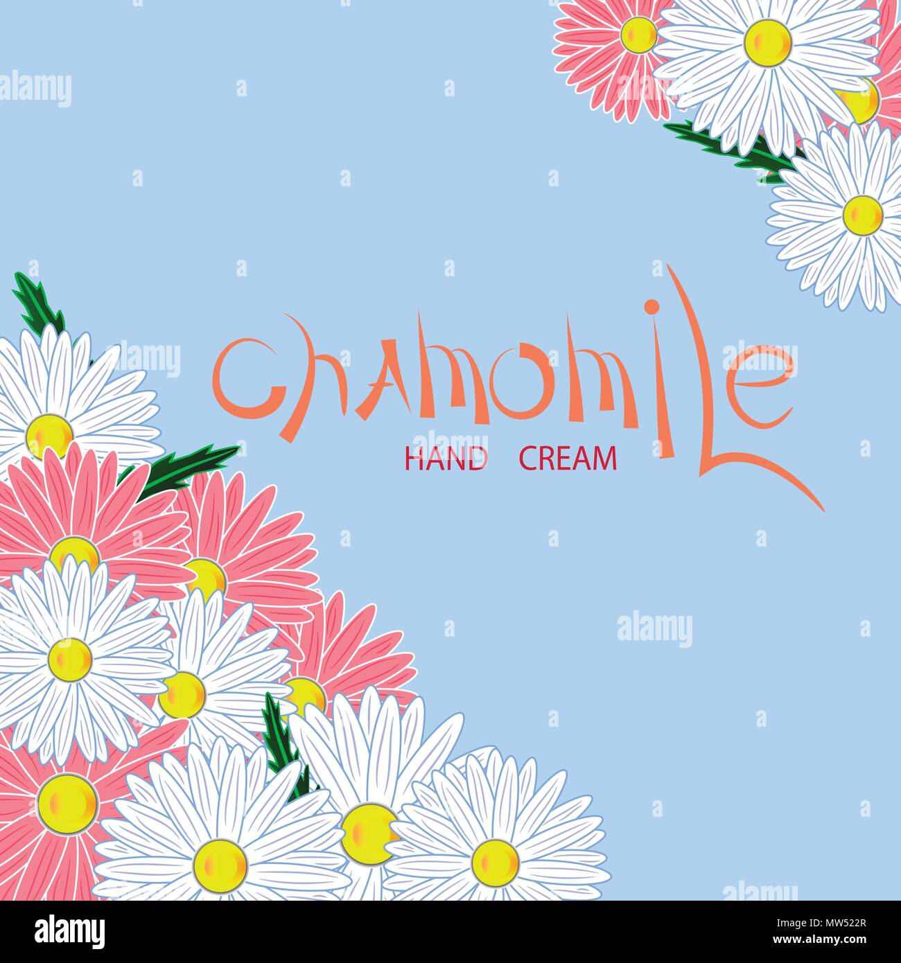 chamomile sweet poster vector illustration Stock Vector Image & Art - Alamy