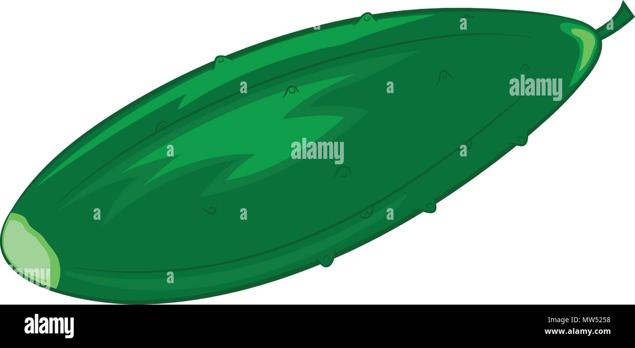 cucumber vector simple illustration Stock Vector Image & Art - Alamy
