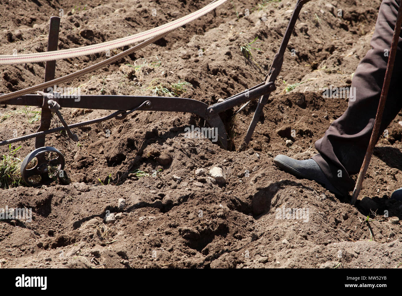 Plowing turkey hi-res stock photography and images - Alamy