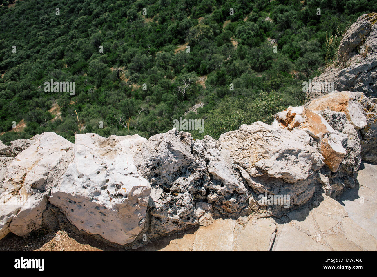 Road tree nature in Apulia Stock Photo - Alamy