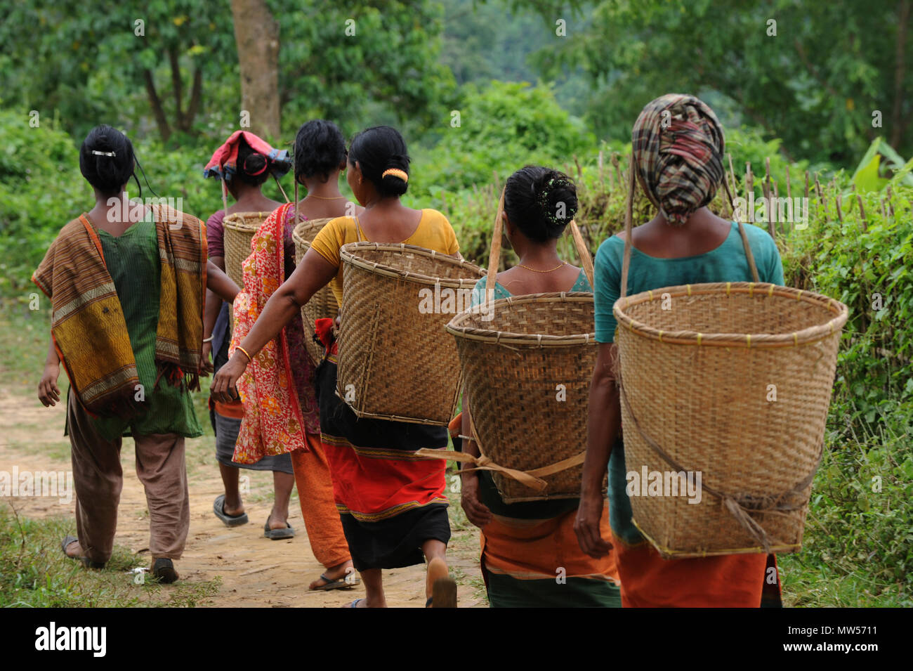 Rangamati, Bangladesh, - October 17, 2011: Daily life of Tribe people ...
