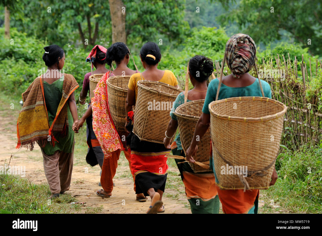 Sajek valley hi-res stock photography and images - Alamy