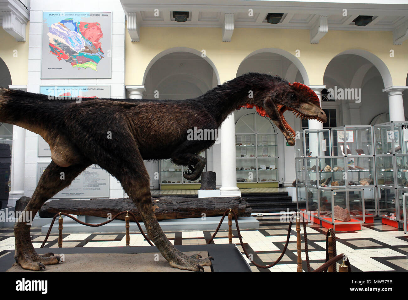 Warsaw, Poland - 31 July 2017: Dilophosaurus wetherilli model in ...