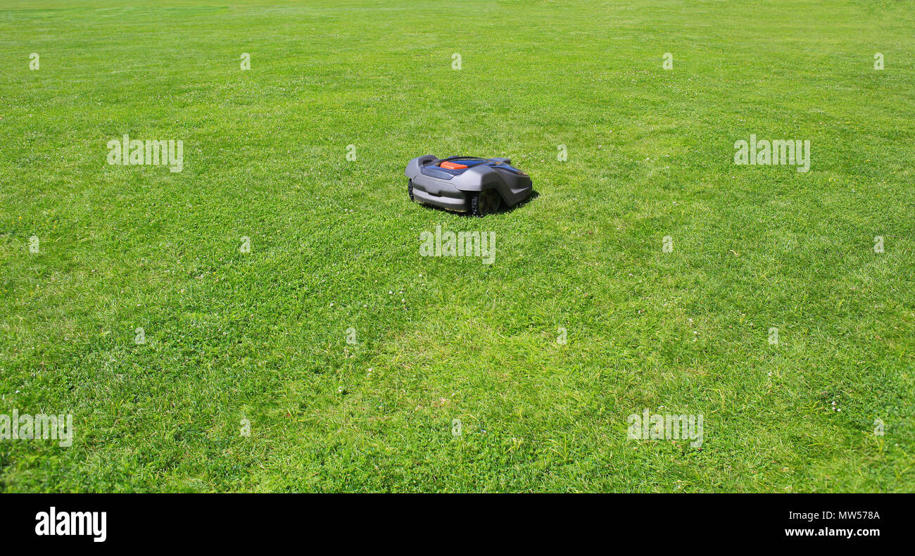 Automatic robot lawnmower mows grass on green lawn Stock Photo - Alamy