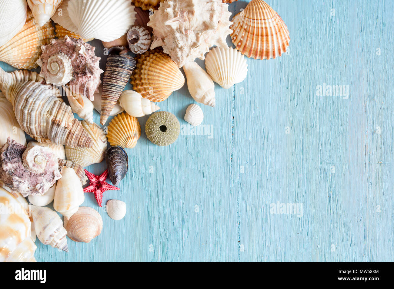 Summer vacation background seashell hi-res stock photography and images ...