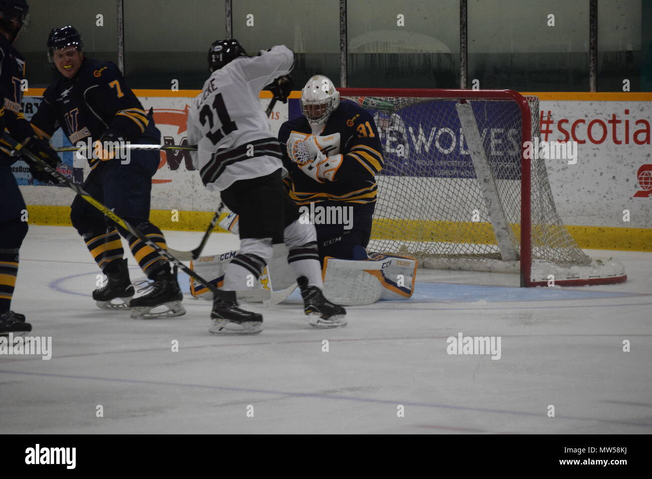 Ottawa gee gees hi-res stock photography and images - Alamy