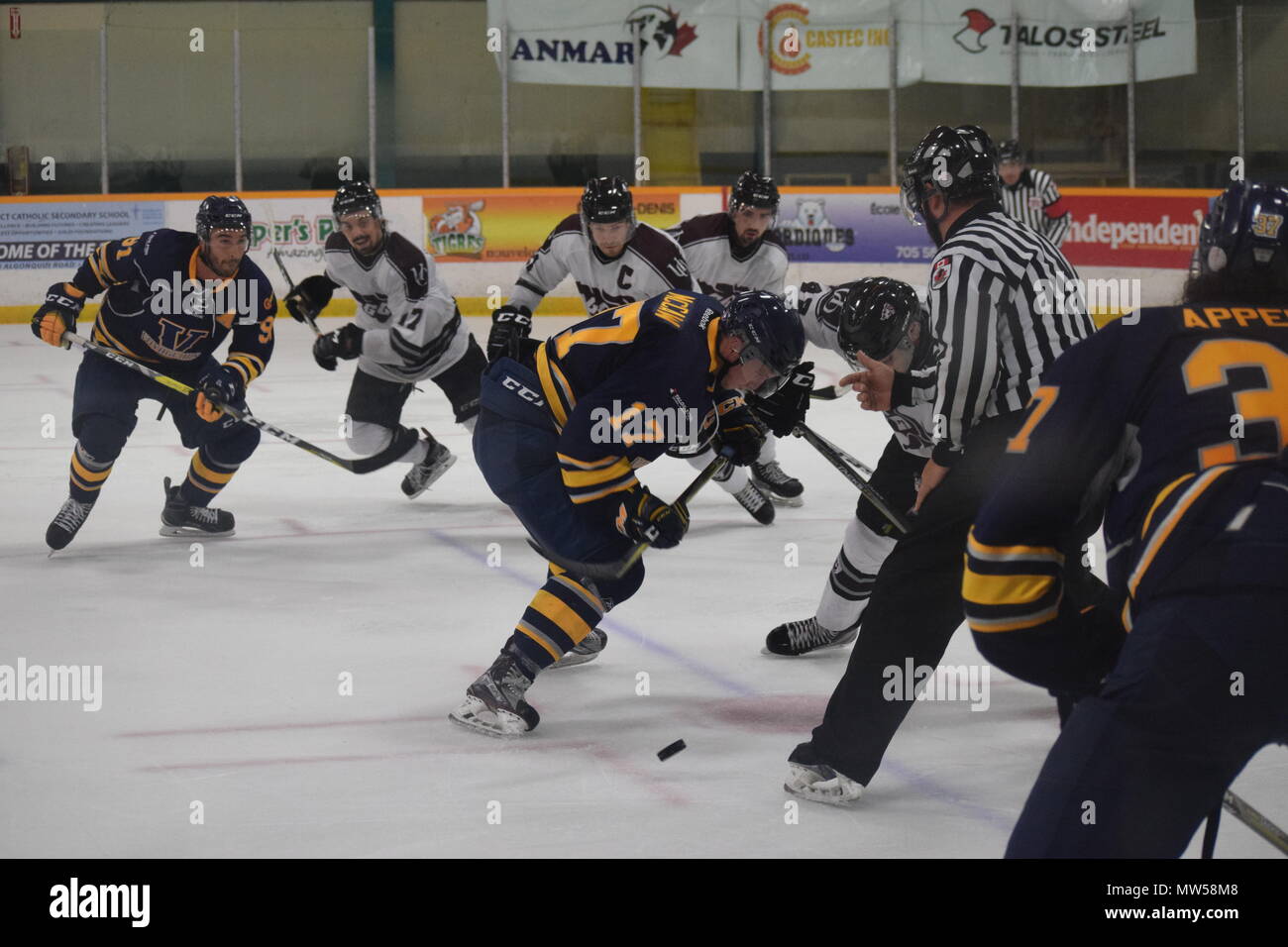 Ottawa gee gees hi-res stock photography and images - Alamy