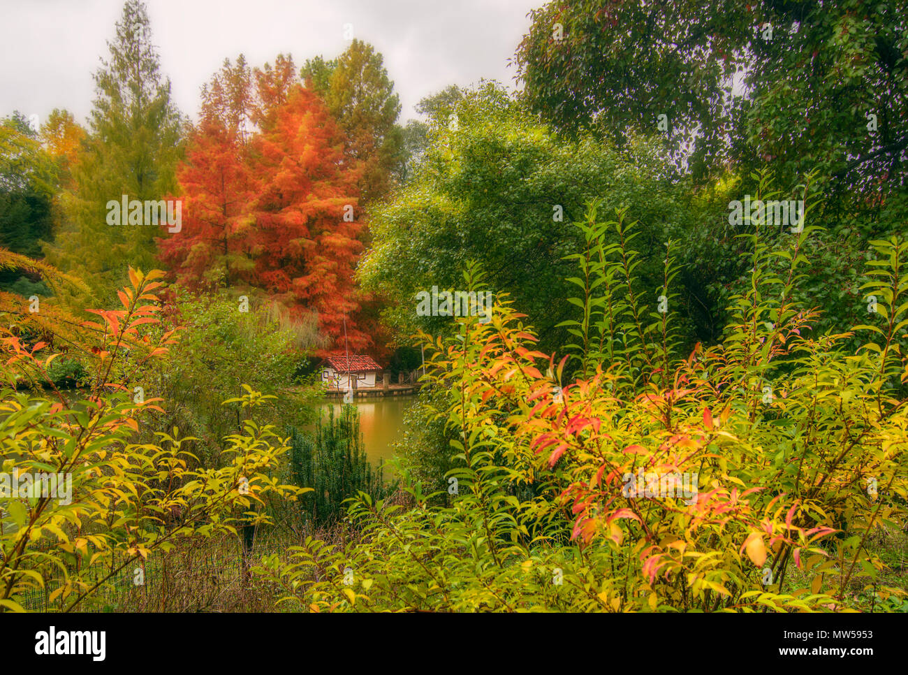 Arboretum, also known as a living tree museum, is one of the most ...