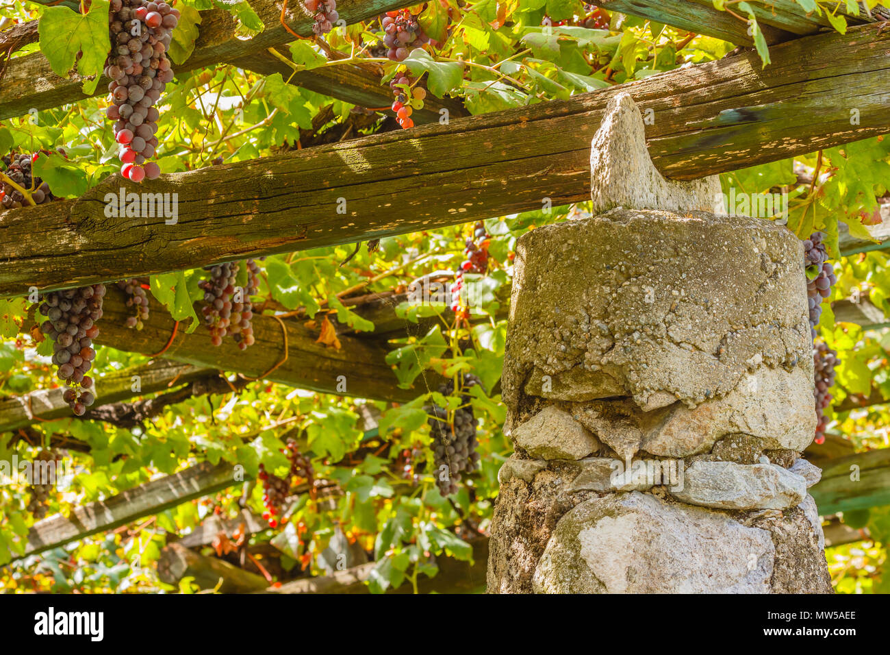 a characteristic pylon stone and lime of the vineyards of the famous ...