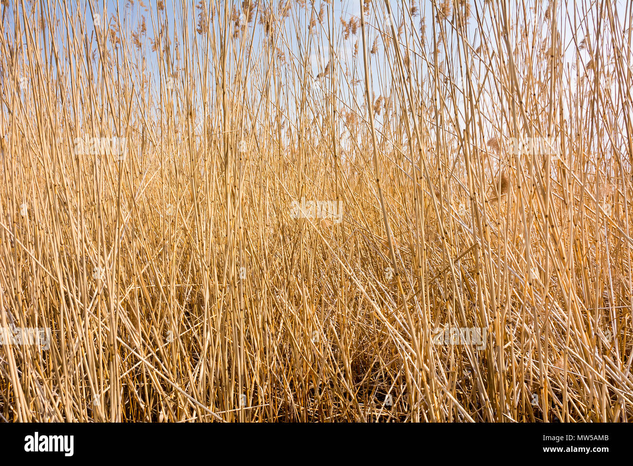 Dry bright sunny day hi-res stock photography and images - Alamy