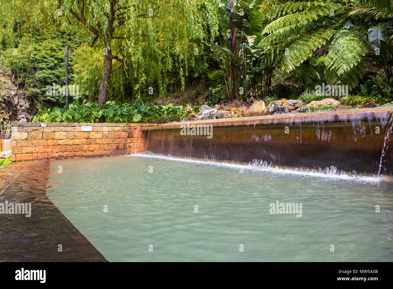 waterfall and pool surrounded by tropical exotic plants Stock Photo - Alamy