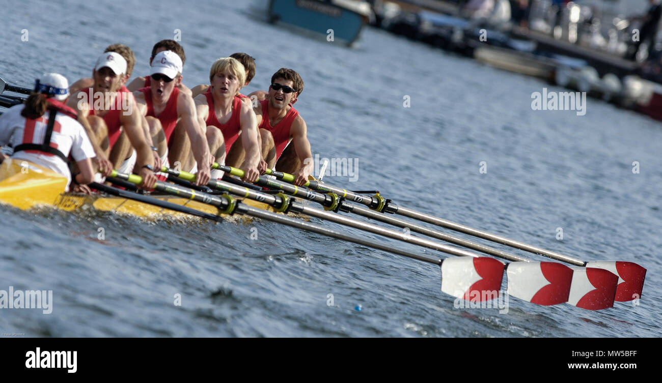 Peter cornell hi-res stock photography and images - Alamy