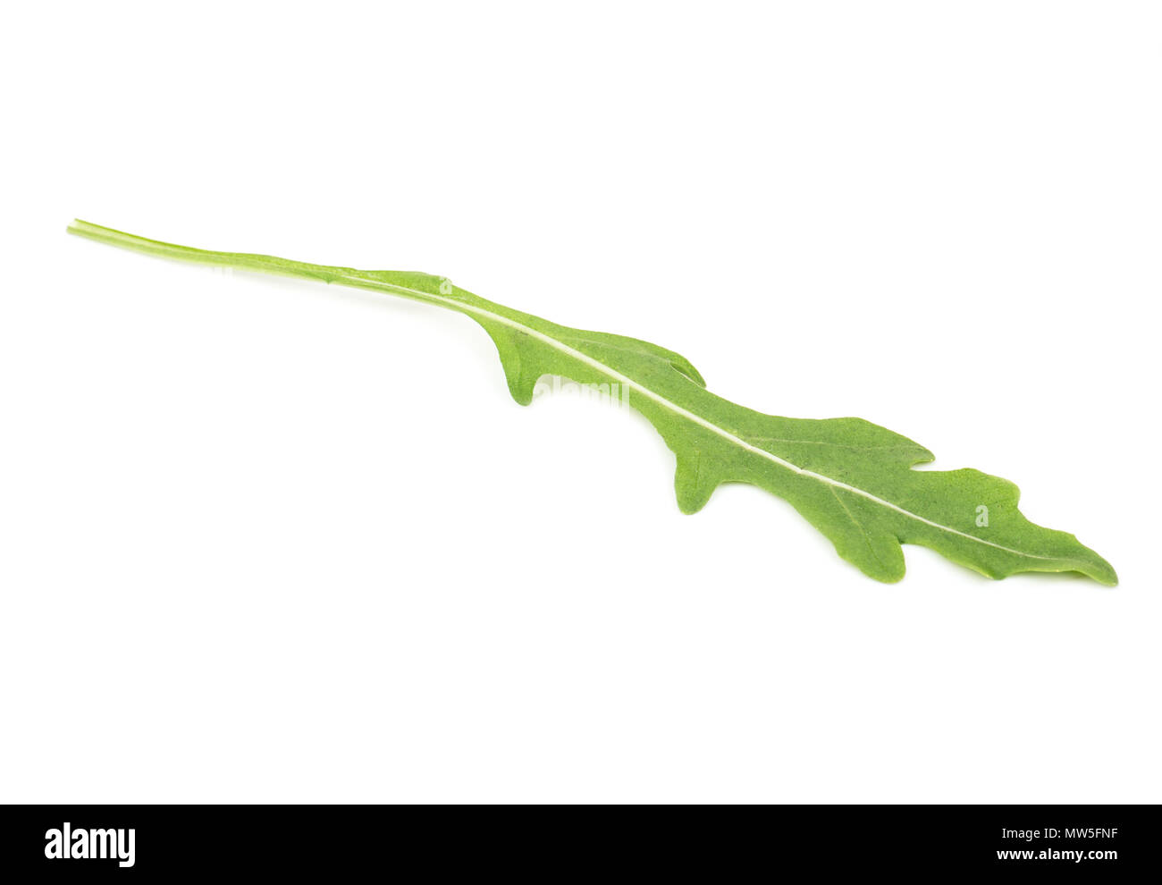 Green arugula leaf isolated on white background Stock Photo - Alamy