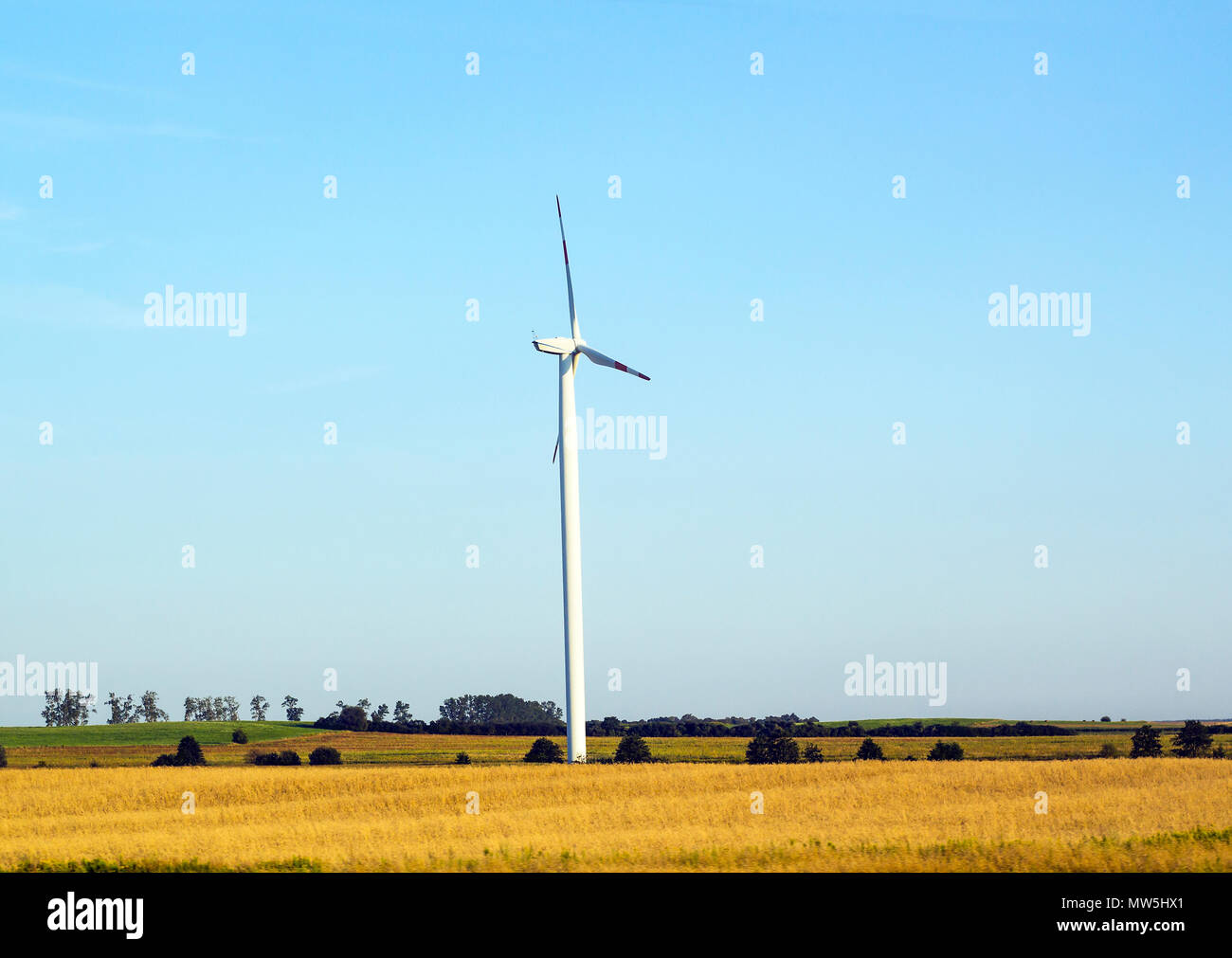New modern Windmill in green fields. Summer village landscape with ...