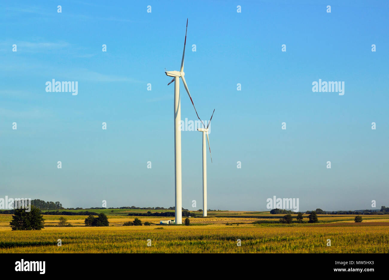 New modern Windmills in green fields. Summer village landscape with ...
