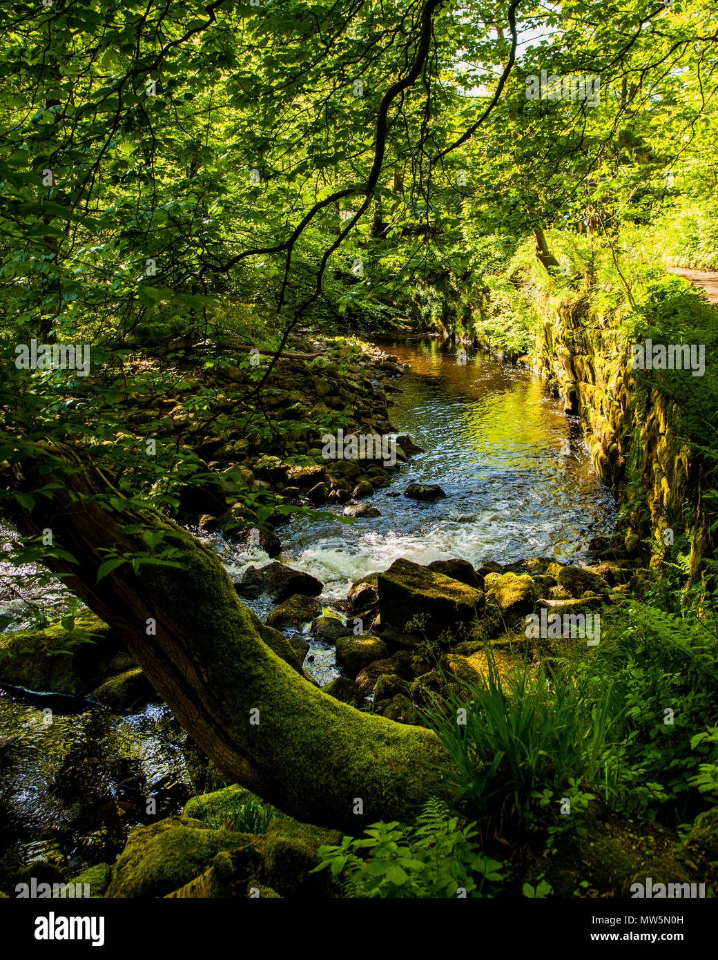 Hebden Beck runs between walls built as part of Foster Mill dam, Hebden ...