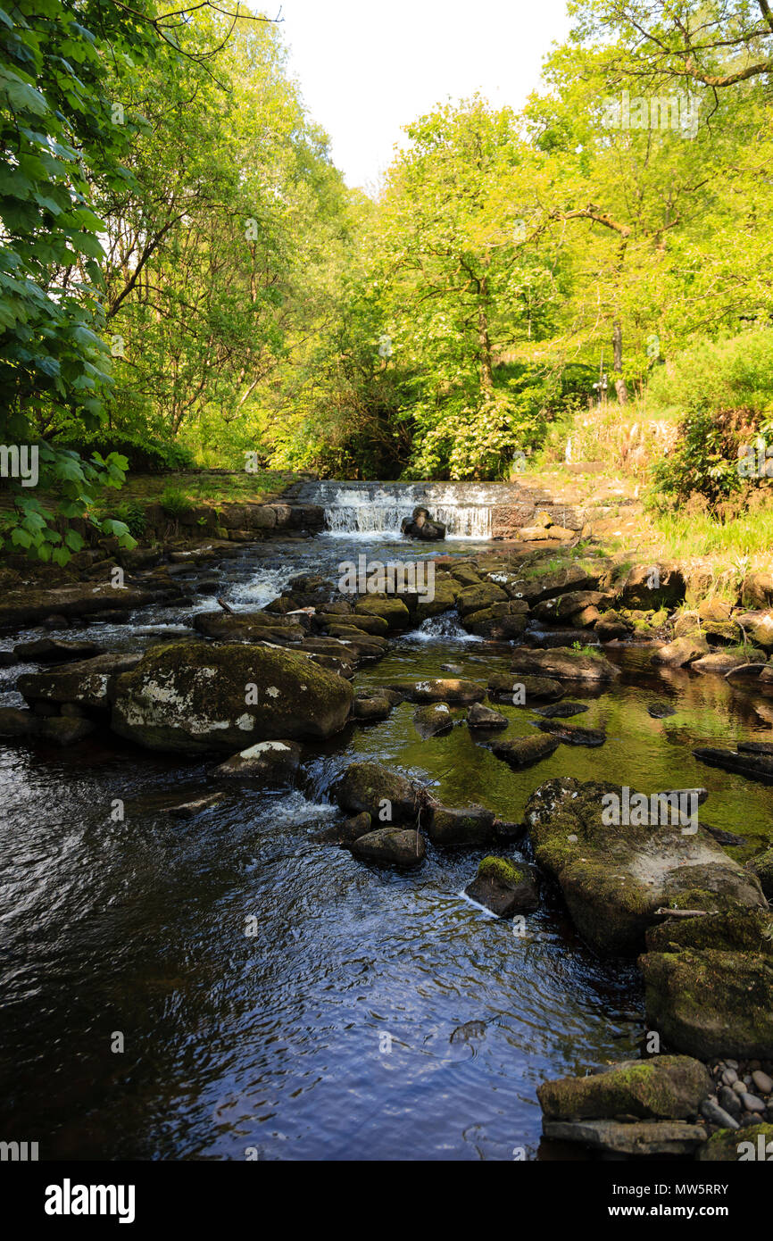 Mill ponds are created by a weir that impounds water that then flows ...