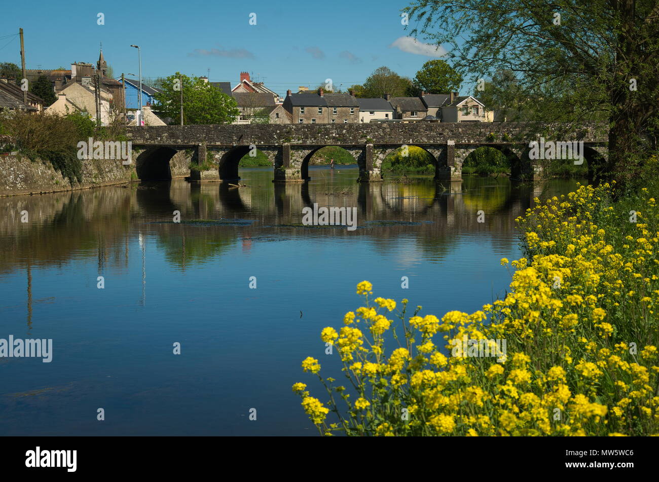 Bruree bridge in Limerick Stock Photo - Alamy