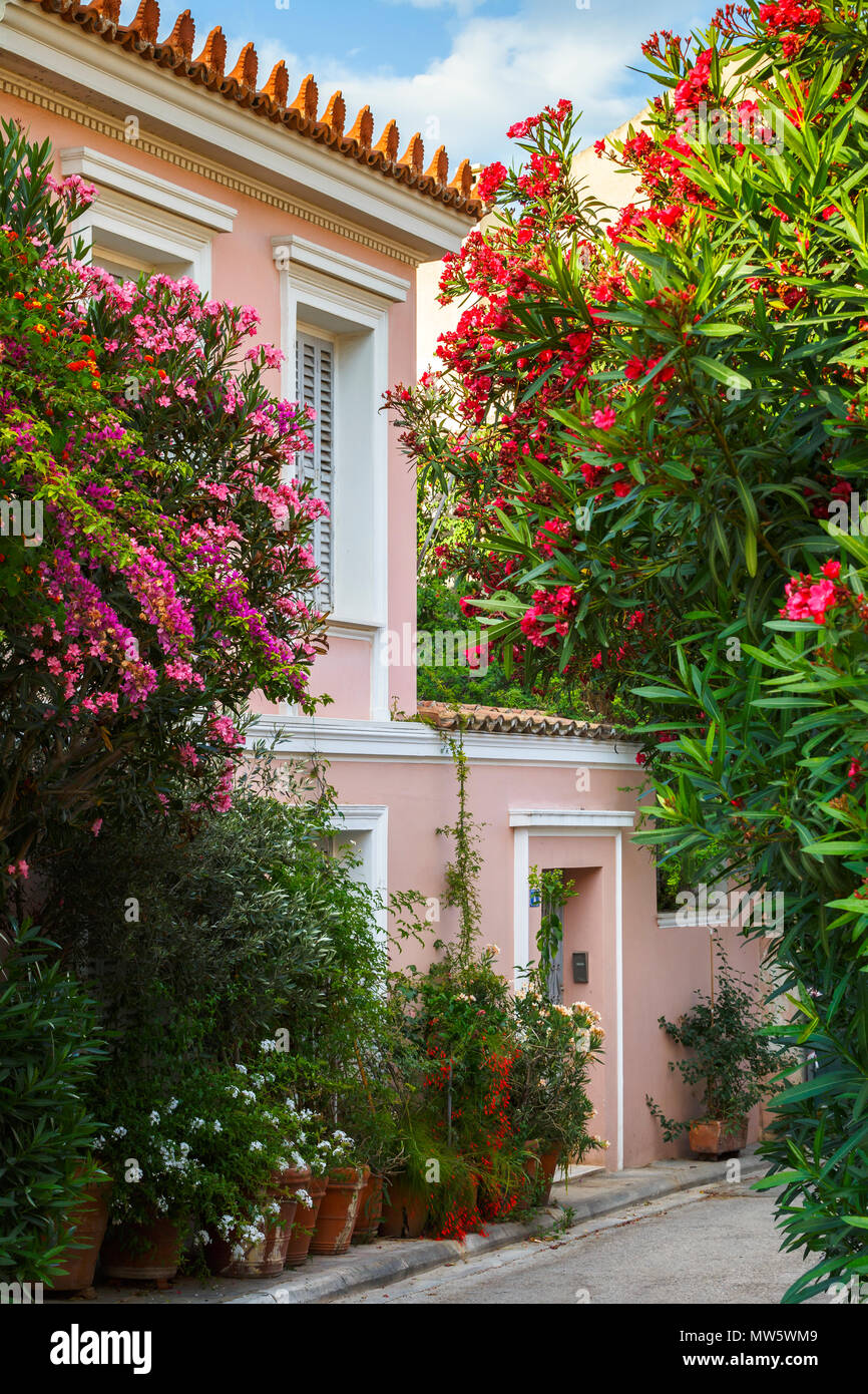 Flowers In Greece High Resolution Stock Photography and Images - Alamy