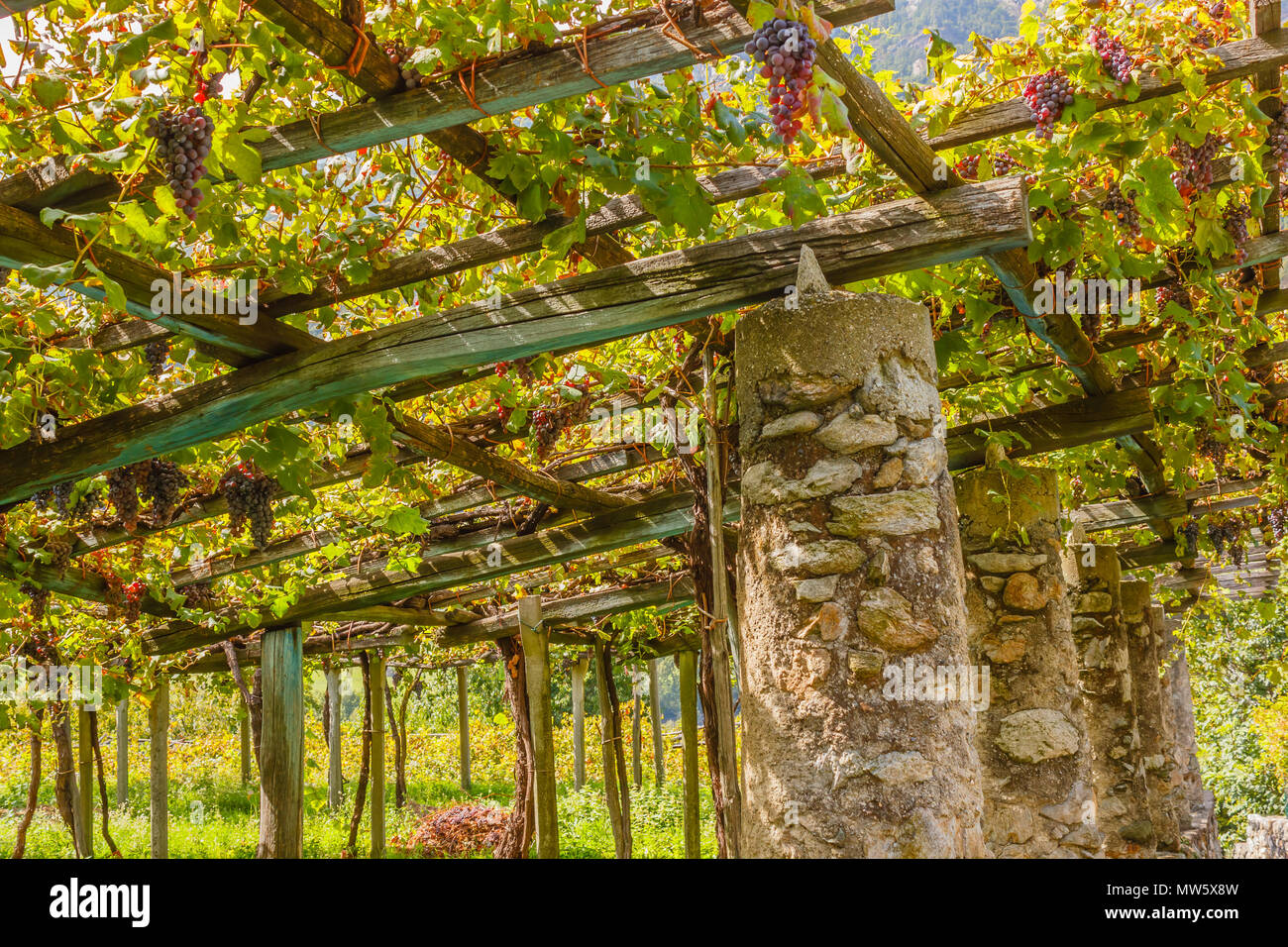 Stone pylons hi-res stock photography and images - Alamy