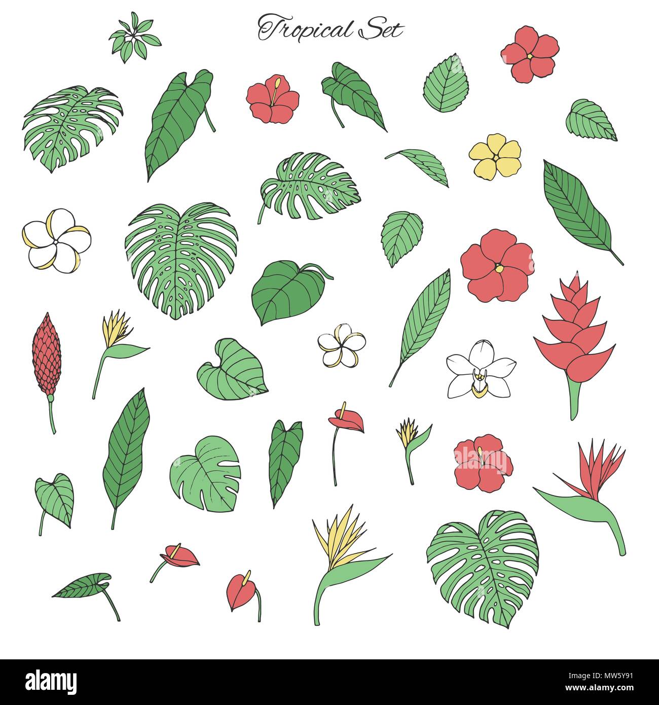Vector tropical collection Stock Vector Images - Alamy